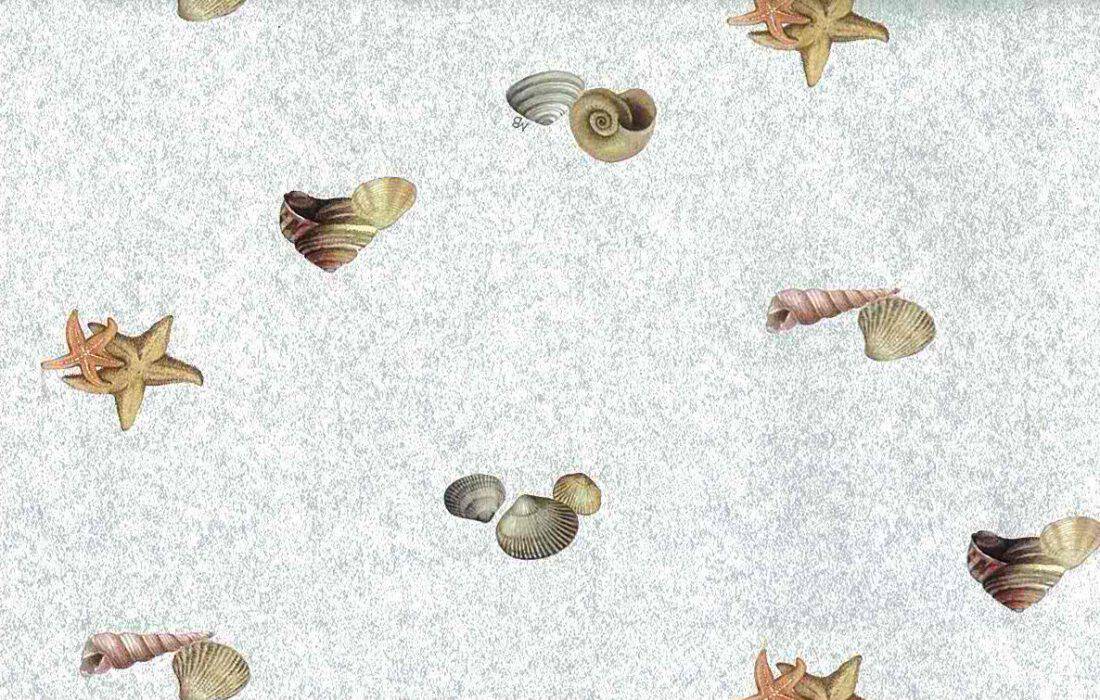Seashells Bathroom Wallpaper Nautical Blue Faux MB4212 D/Rs